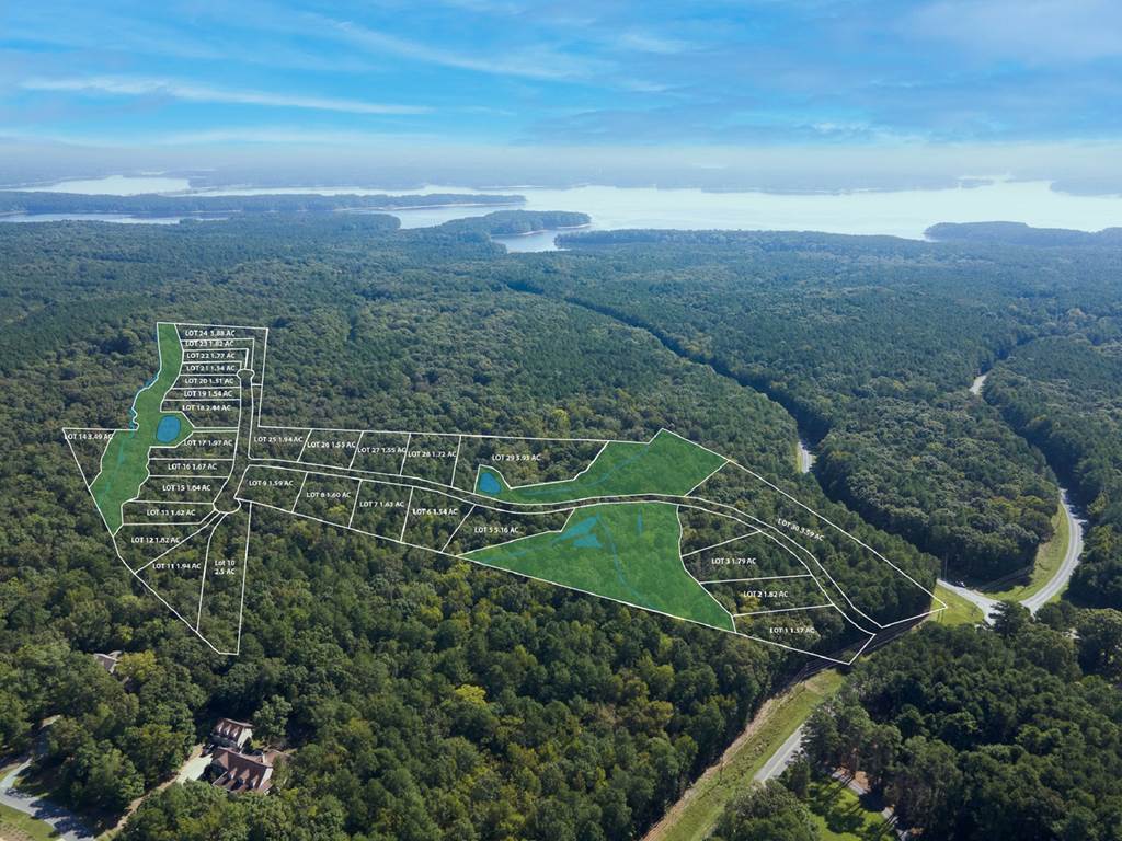 Firefly Overlook at Jordan Lake > Gallery